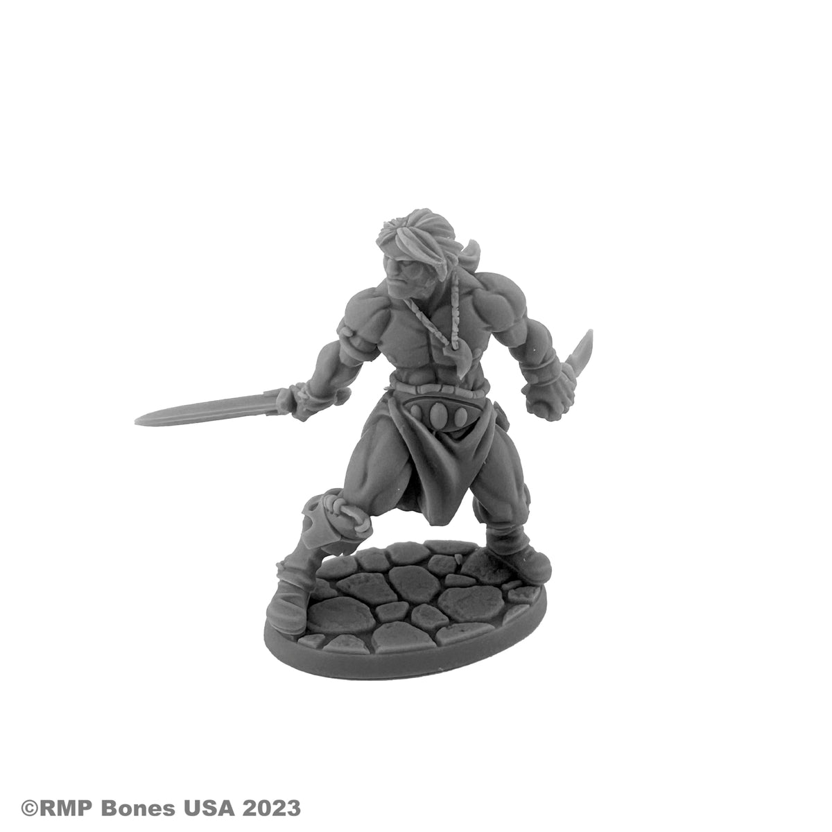 Reaper Bones USA: Hyborian Hero (07116) – Gnomish Bazaar