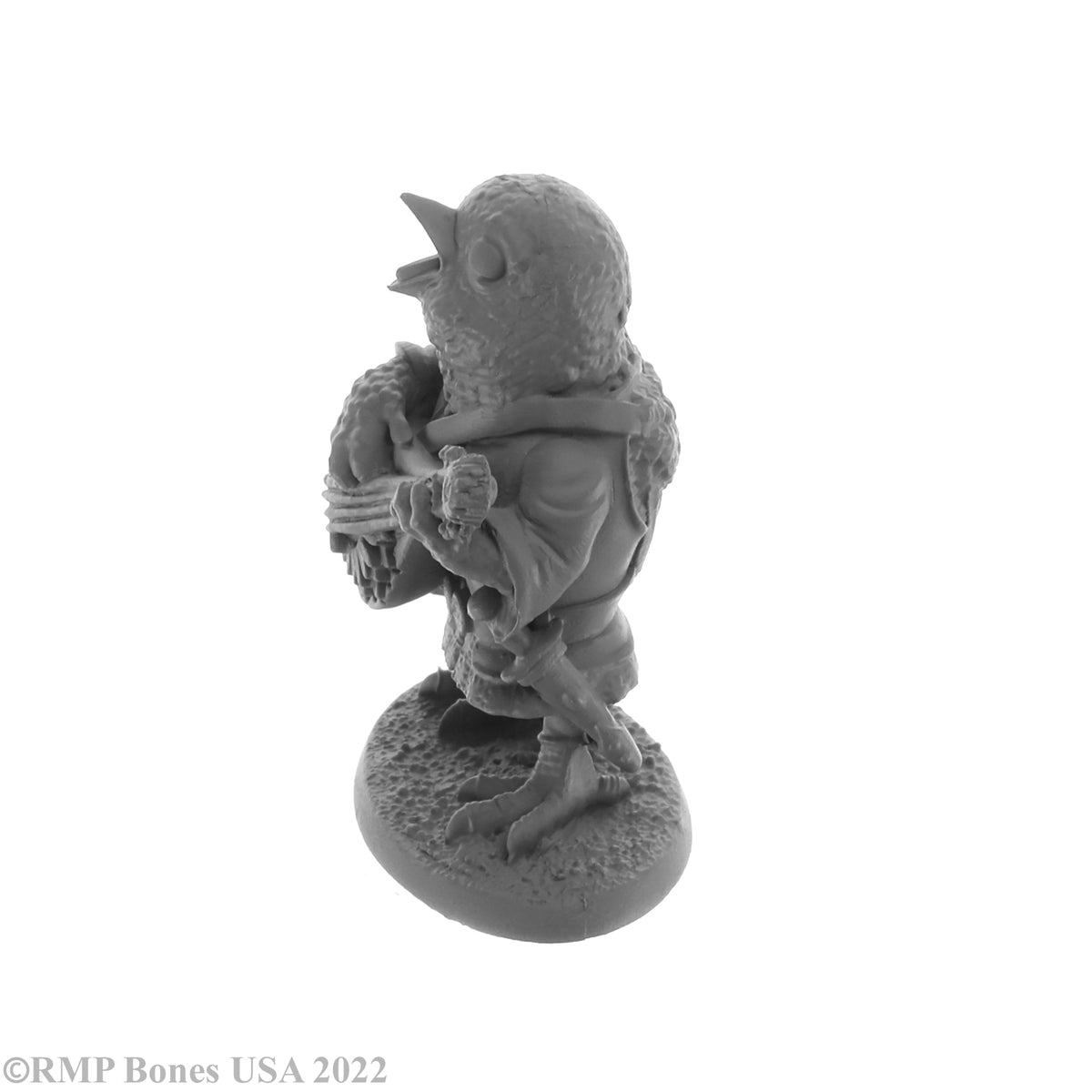 Reaper Bones USA: Kobzar Soloveiko, Nightingale Bard (30167) – Gnomish ...
