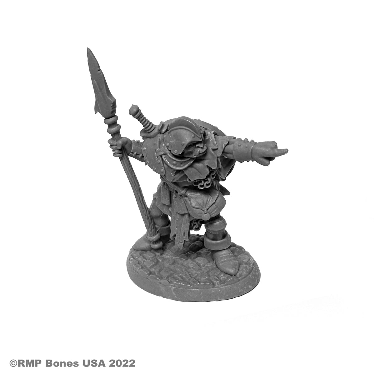 Reaper Bones USA: Orcs of the Ragged Wound Leaders (2) (07014 ...